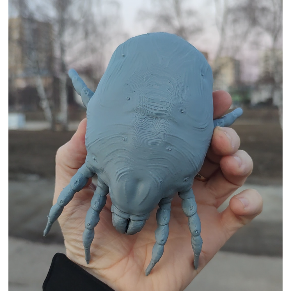 Roztoč prachovka - model